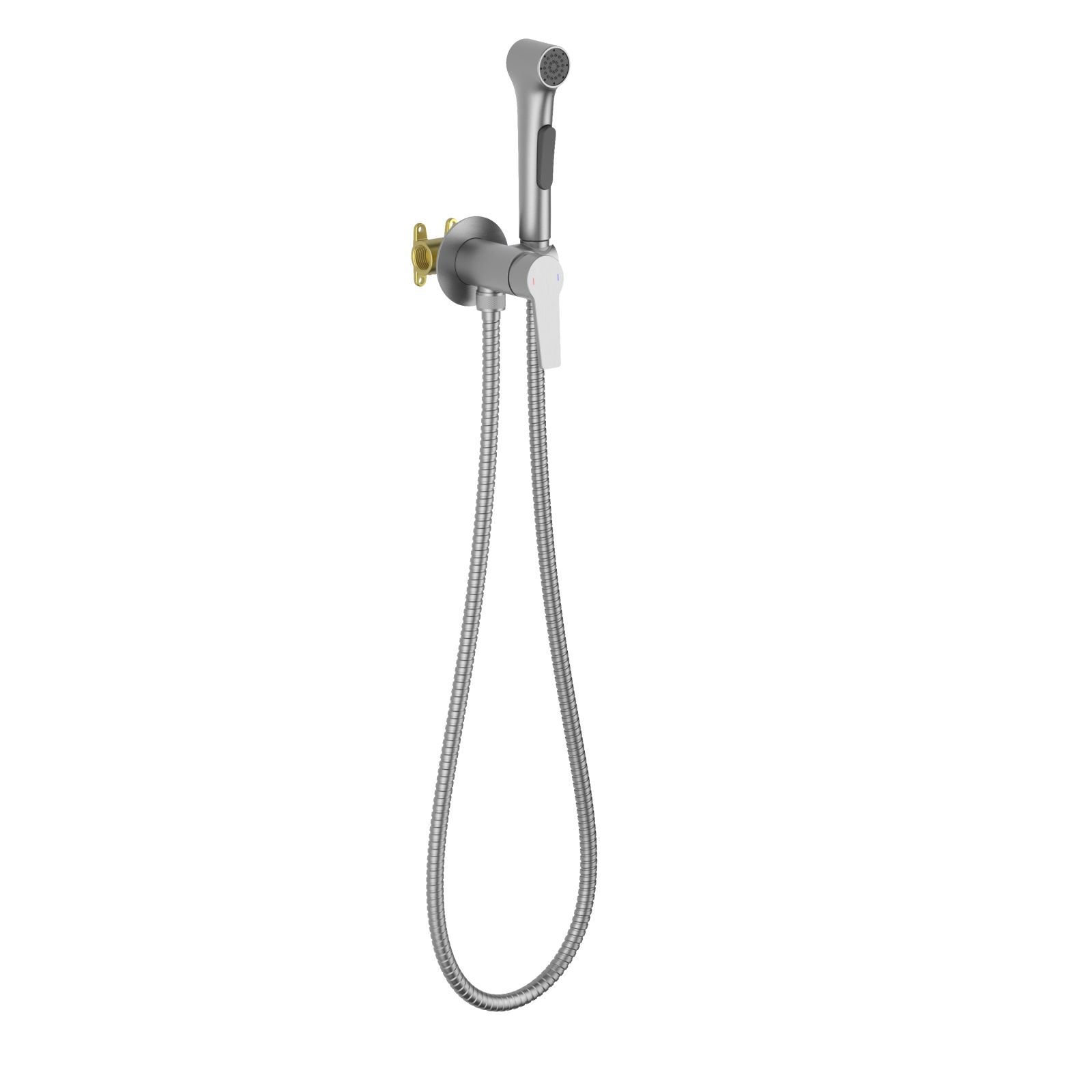 Aquavit Sense Wall concealed hand bidet set with ABS spray HBS4202 ...